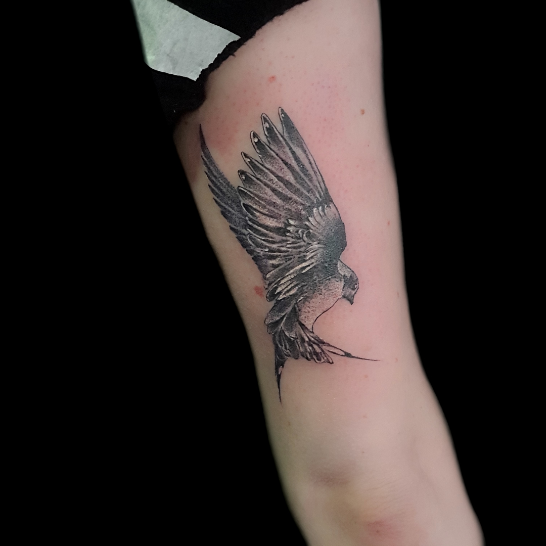 Bird tattoos : Meaning & Flying Creature Tattoo Ideas in Dublin