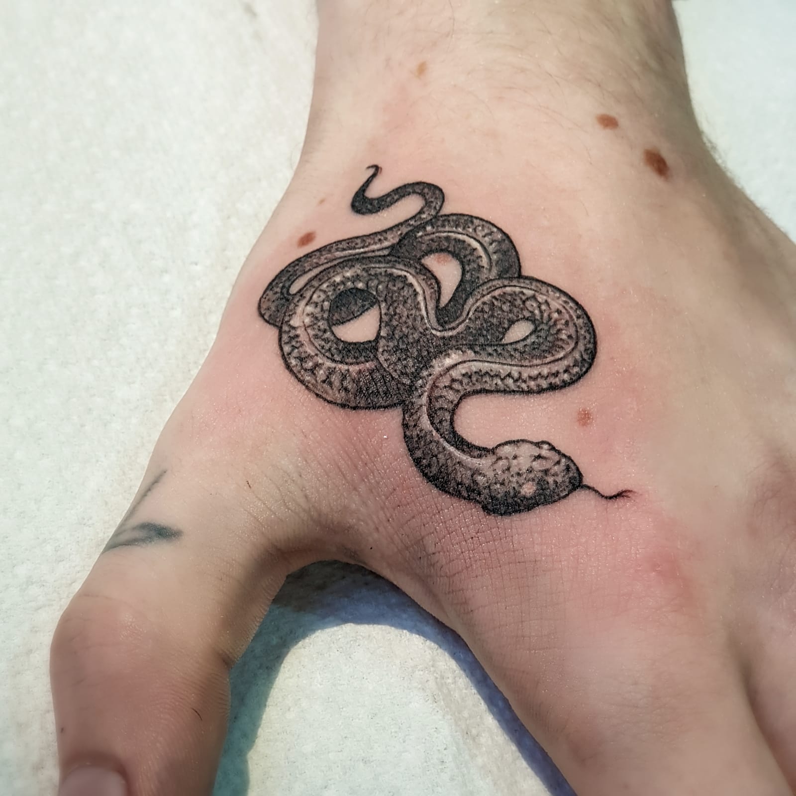 Snake Tattoos : Symbolism and Tattoo Ideas in Dublin