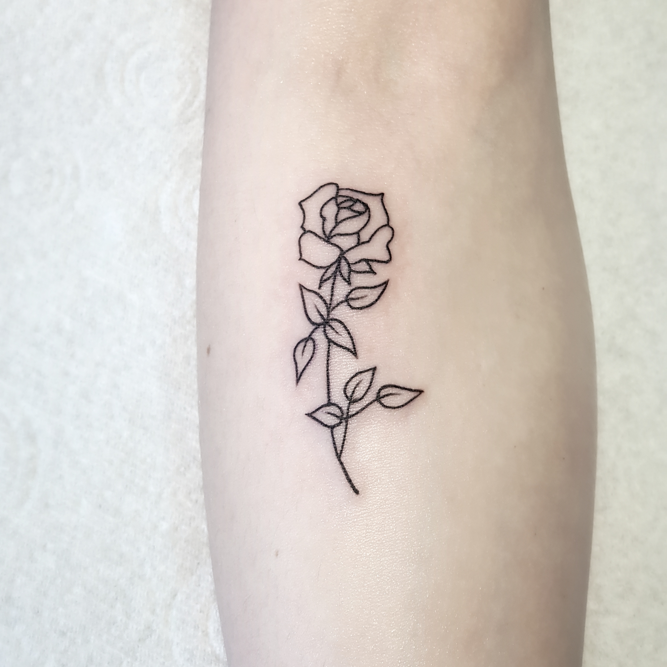 Rose tattoos: meaning & rose tattoo ideas in Dublin